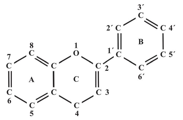 Basic structure of flavonoids, adapted from sarian et al.