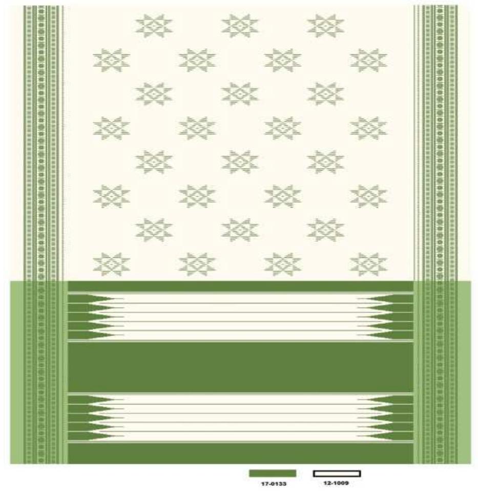 Design of the saree figure 4: sample 2- developed saree