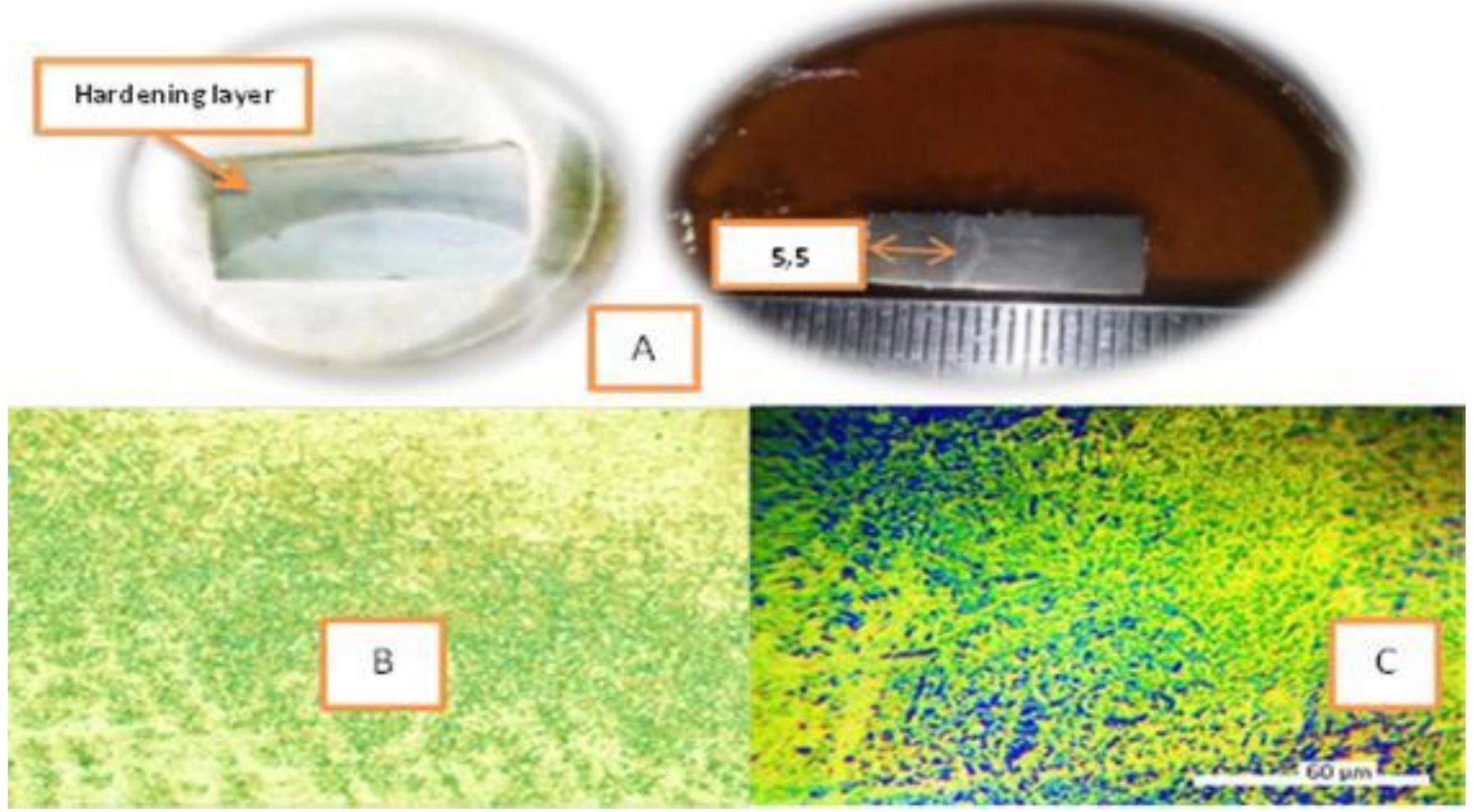 (a). macrostructure of the cross section of the failed