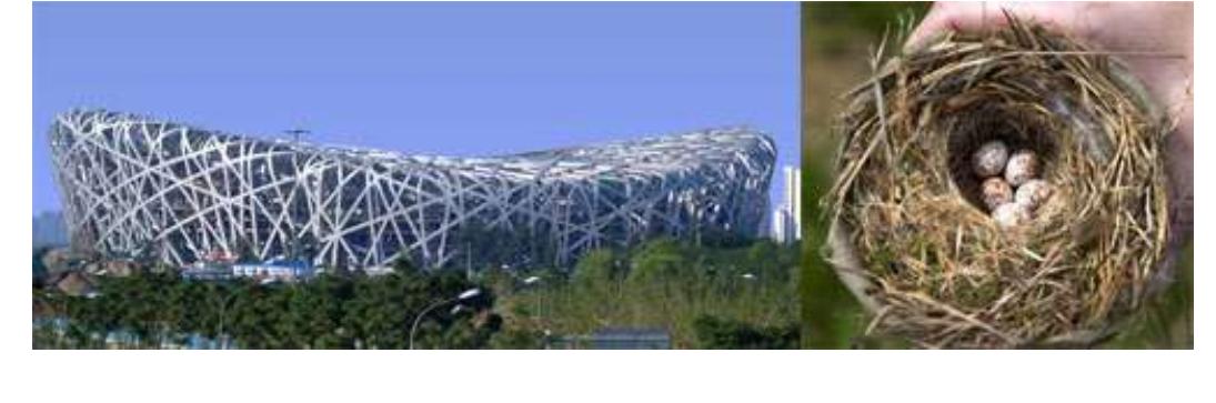 (PDF) IRJET- Case Study on Beijing National Stadium: Bird Nest Olympic ...
