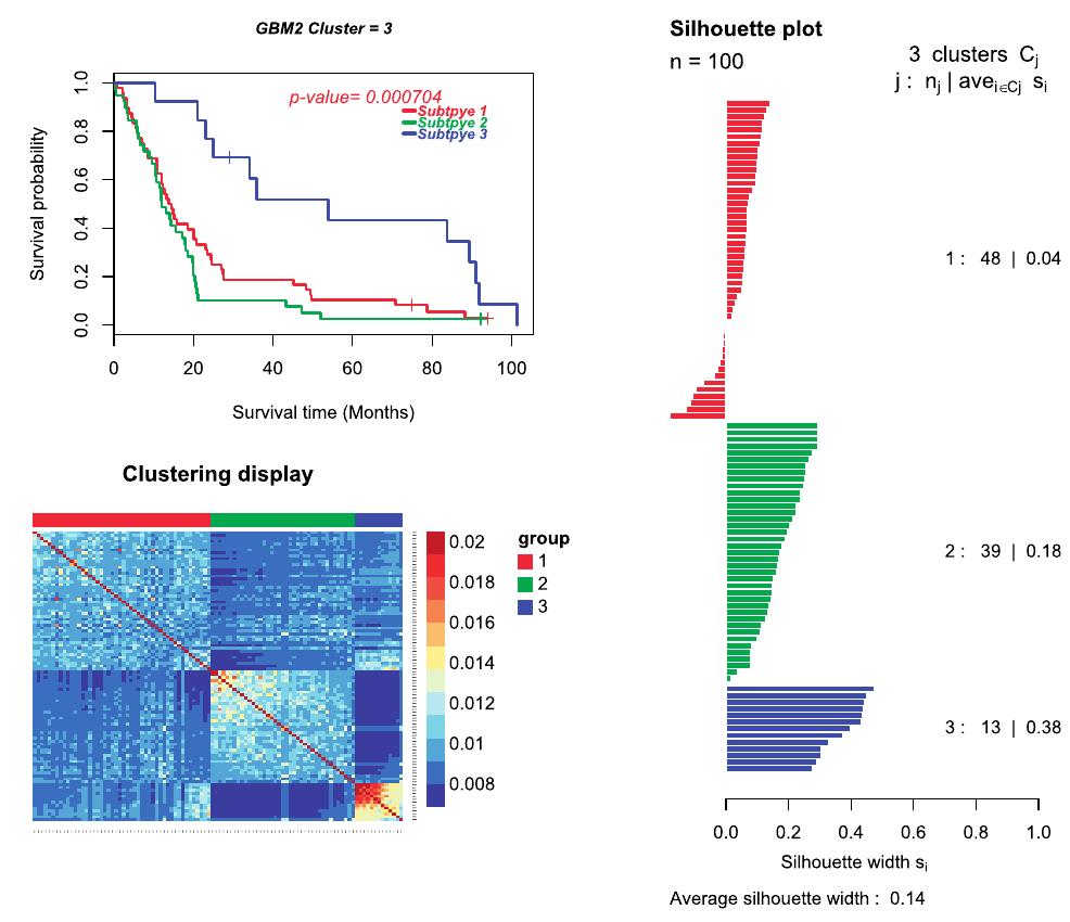The survival curves, heatmap of the sample similarity matrix