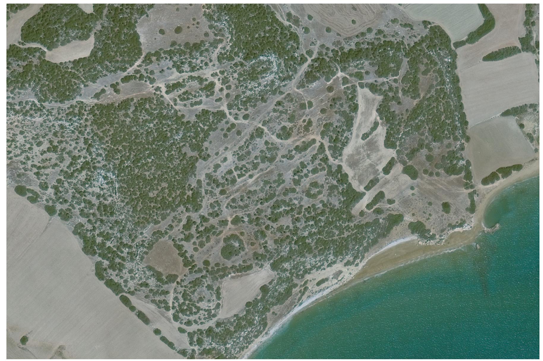 Svend Hansen - German Archaeological Institute