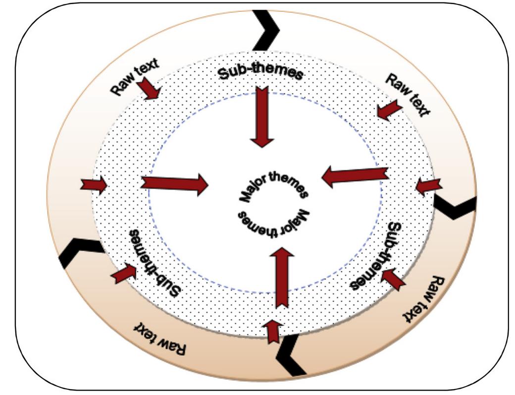 Qualitative data analysis procedure (adapted from