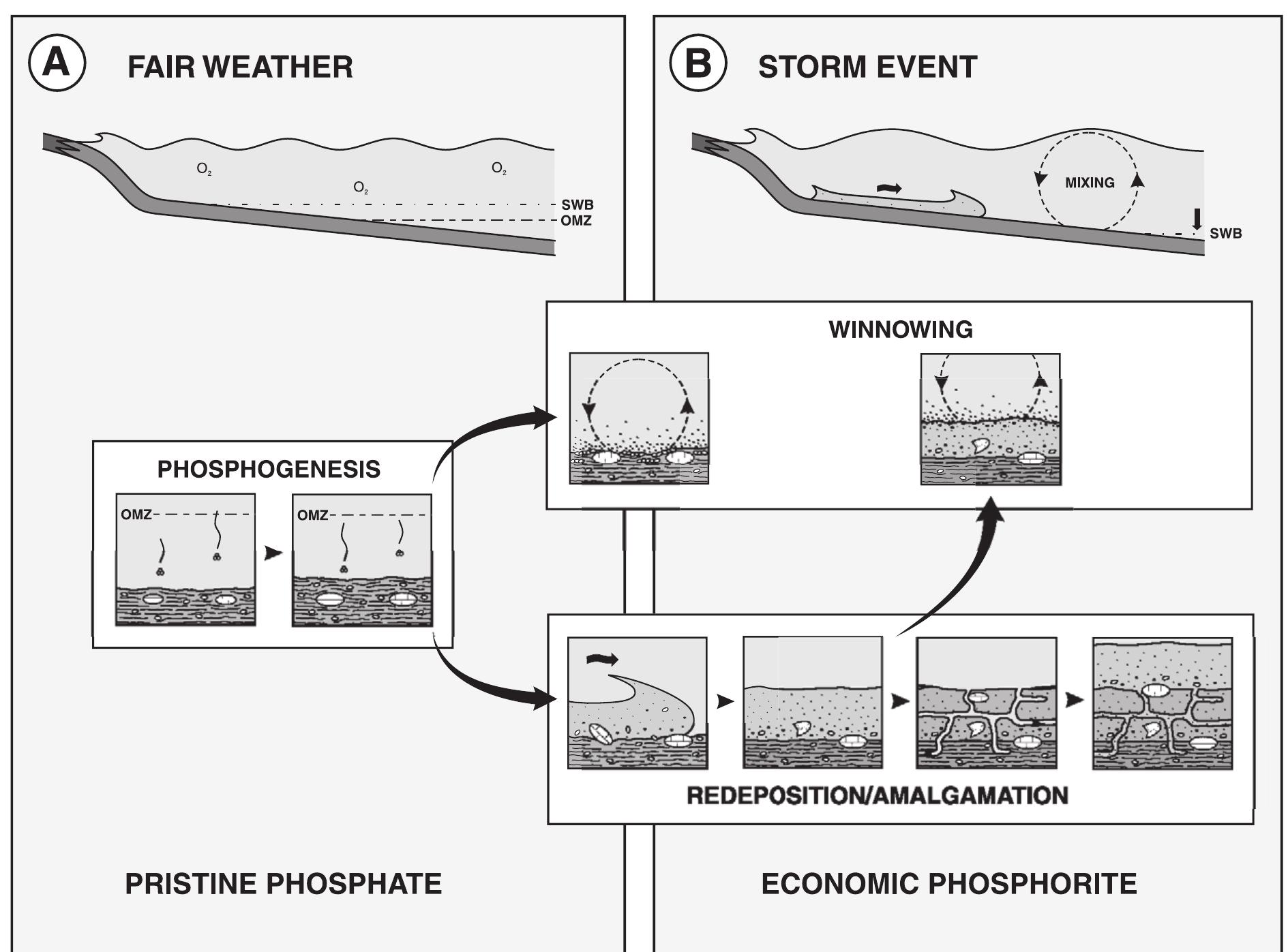 Depositional model for the formation of economic