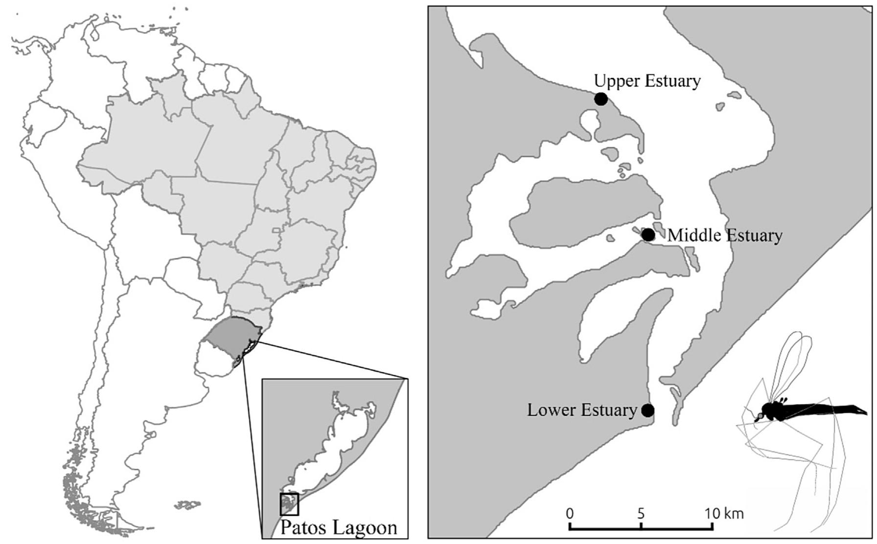 (PDF) Rodrigues et al. 2017