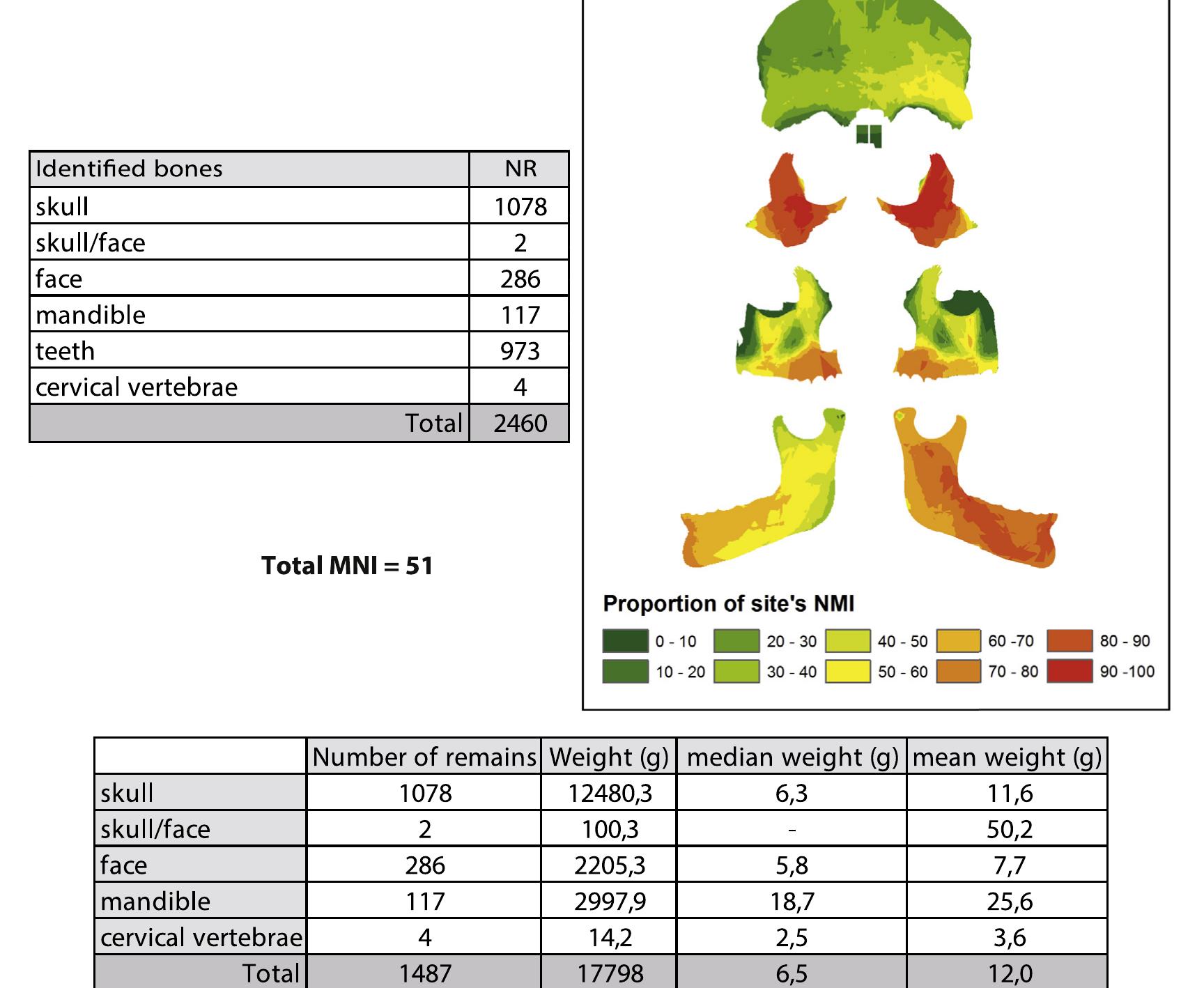 Table of human remains and map of cranial mni from le cailar