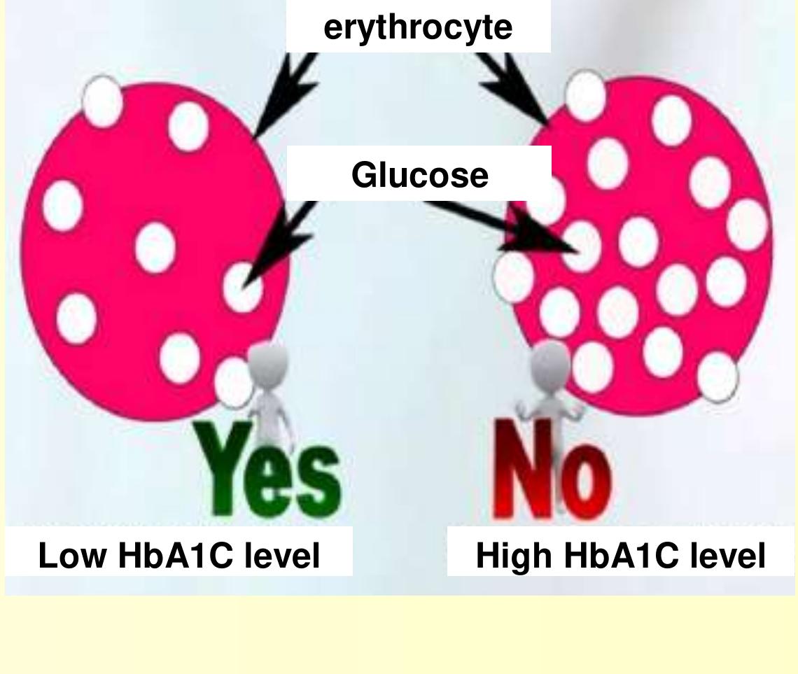 Figure 27 - The glycated hemoglobin (HbA1c). Modern