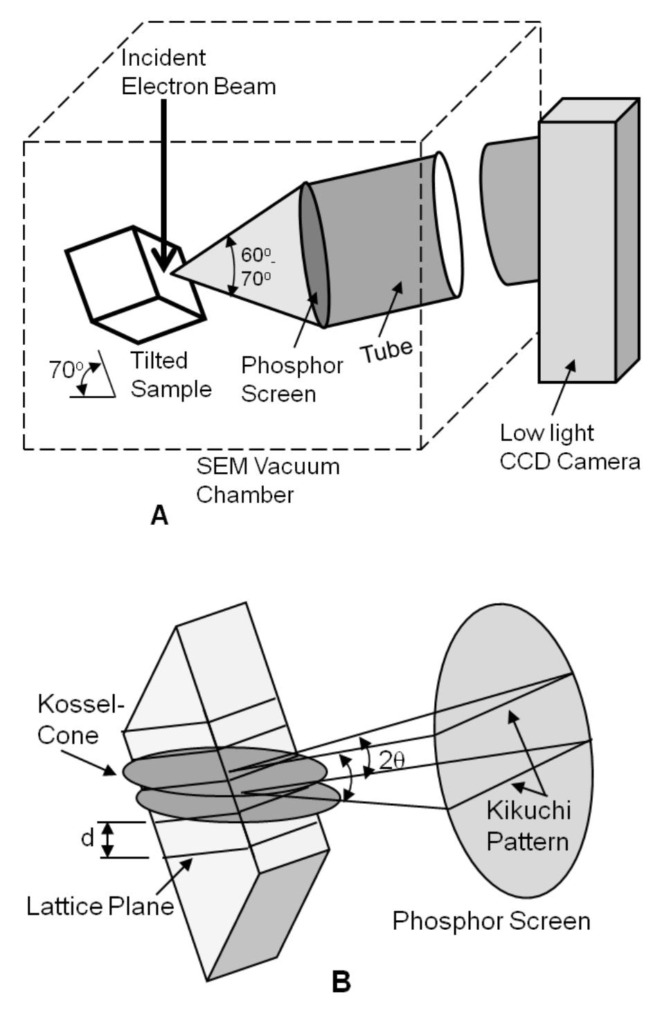 Schematic diagram of ebsd set-up (a) and projection of