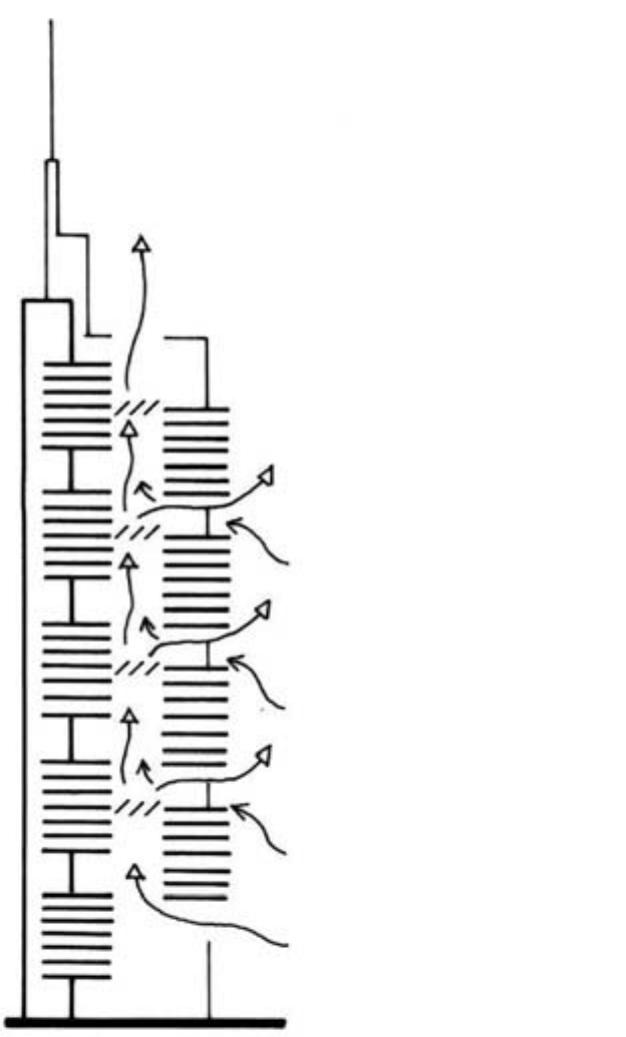 Diagram showing the natural ventilation strategy for