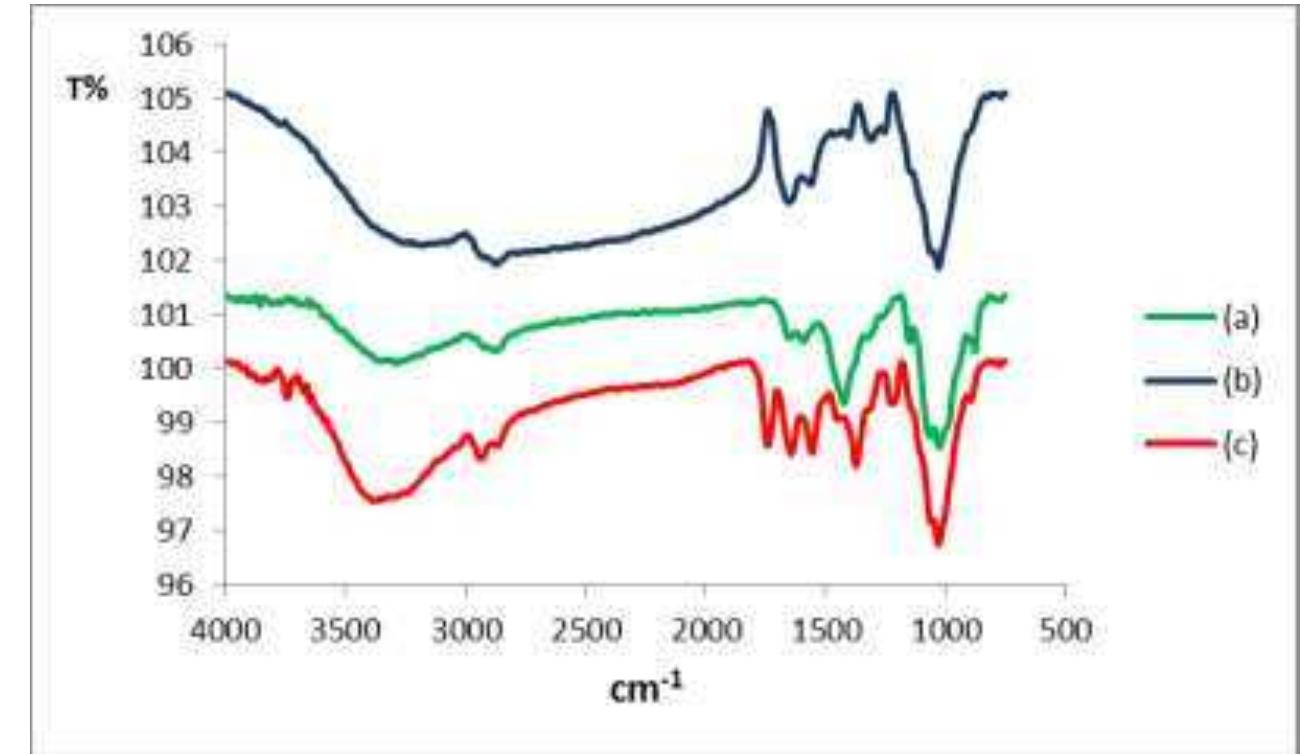 Ftir analysis fig. 6 shows the ftir spectra of (a) chitosan