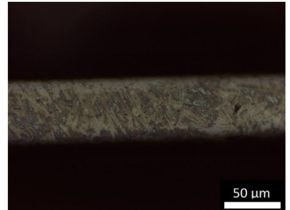 Optical microscope micrograph of ti-50.6ni wire supplied