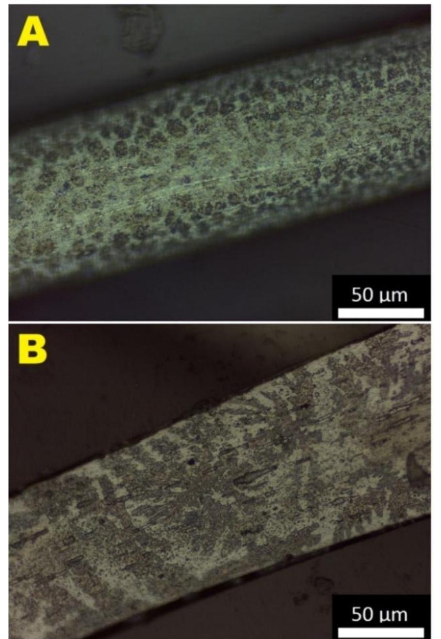 Optical microscope micrographs of ti-50.6ni wires heat