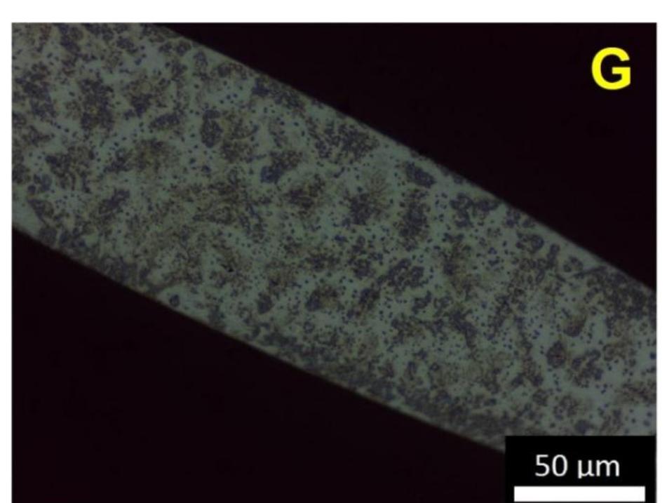 Vol. 4, issue 1, january 2017 fig. 6. (continuum 2) optical