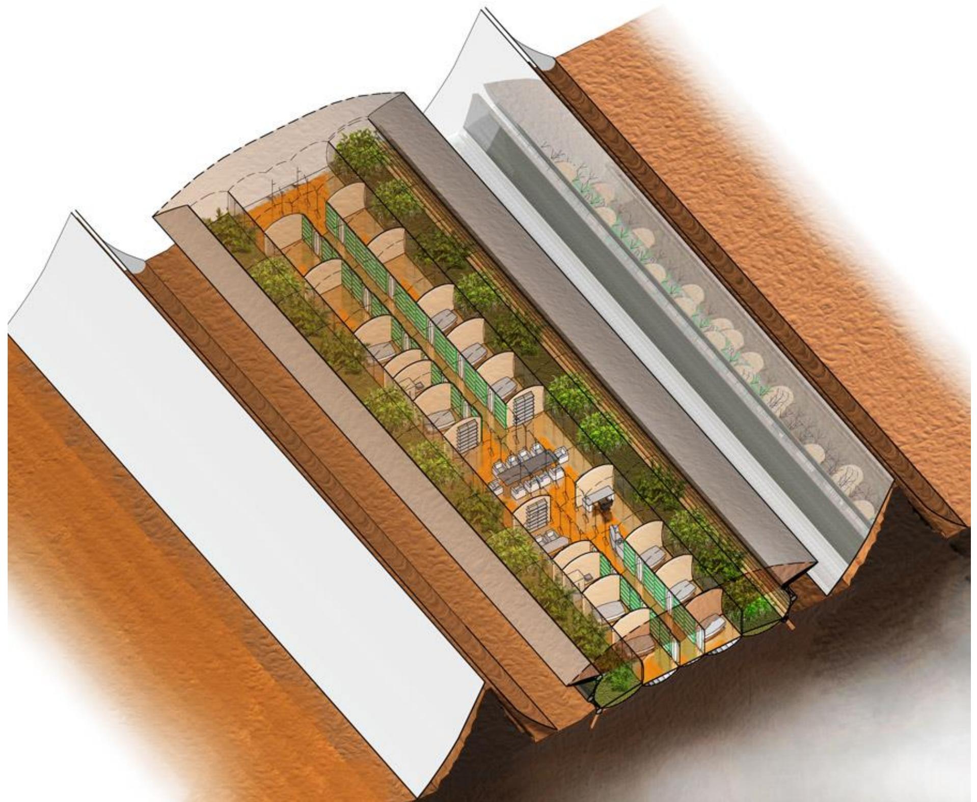 Overview of the linear version of the habitat. the covering
