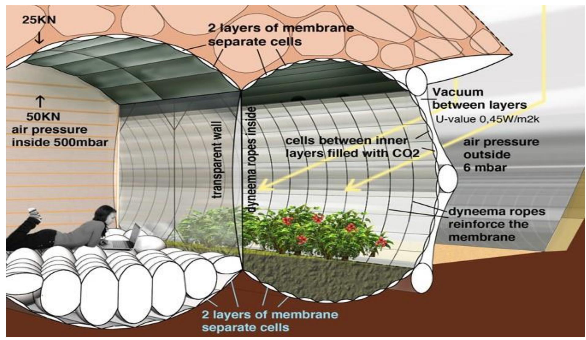 The wall and roof structure of the habitat. the main wall on