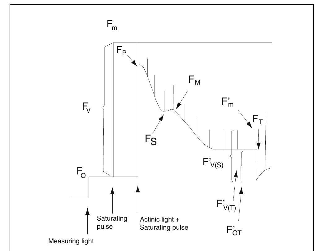 Typical quenching analysis trace. f_ , base fluorescence;