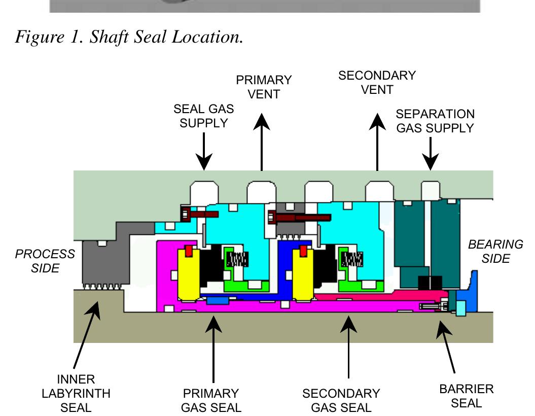 Typical tandem gas seal/barrier seal configuration.