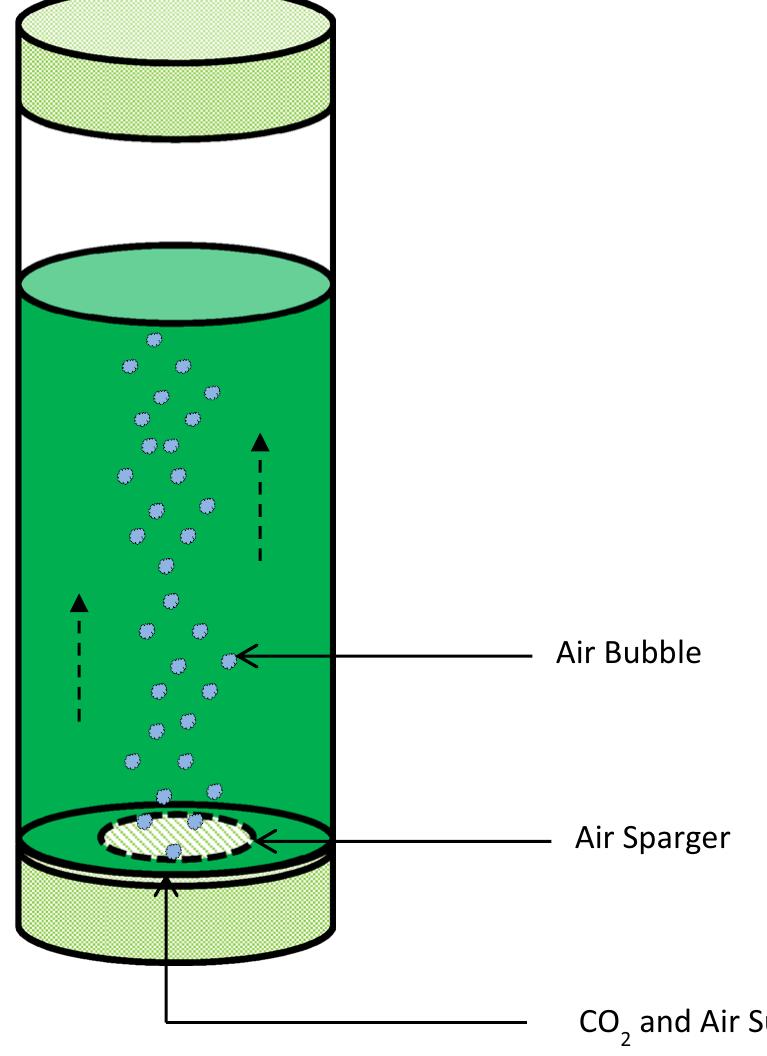 Schematics of a bubble column photobioreactor bubble column