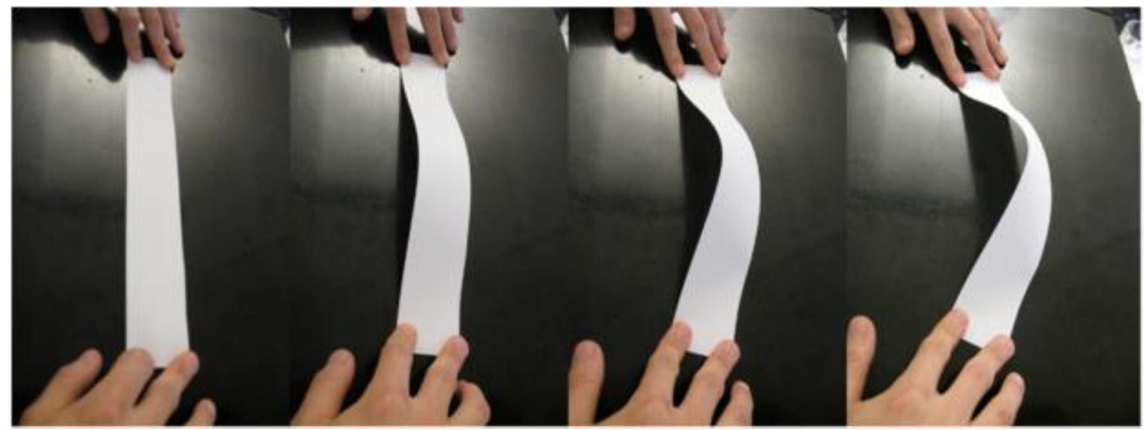 -16 experimental clarification to show how lamella facade