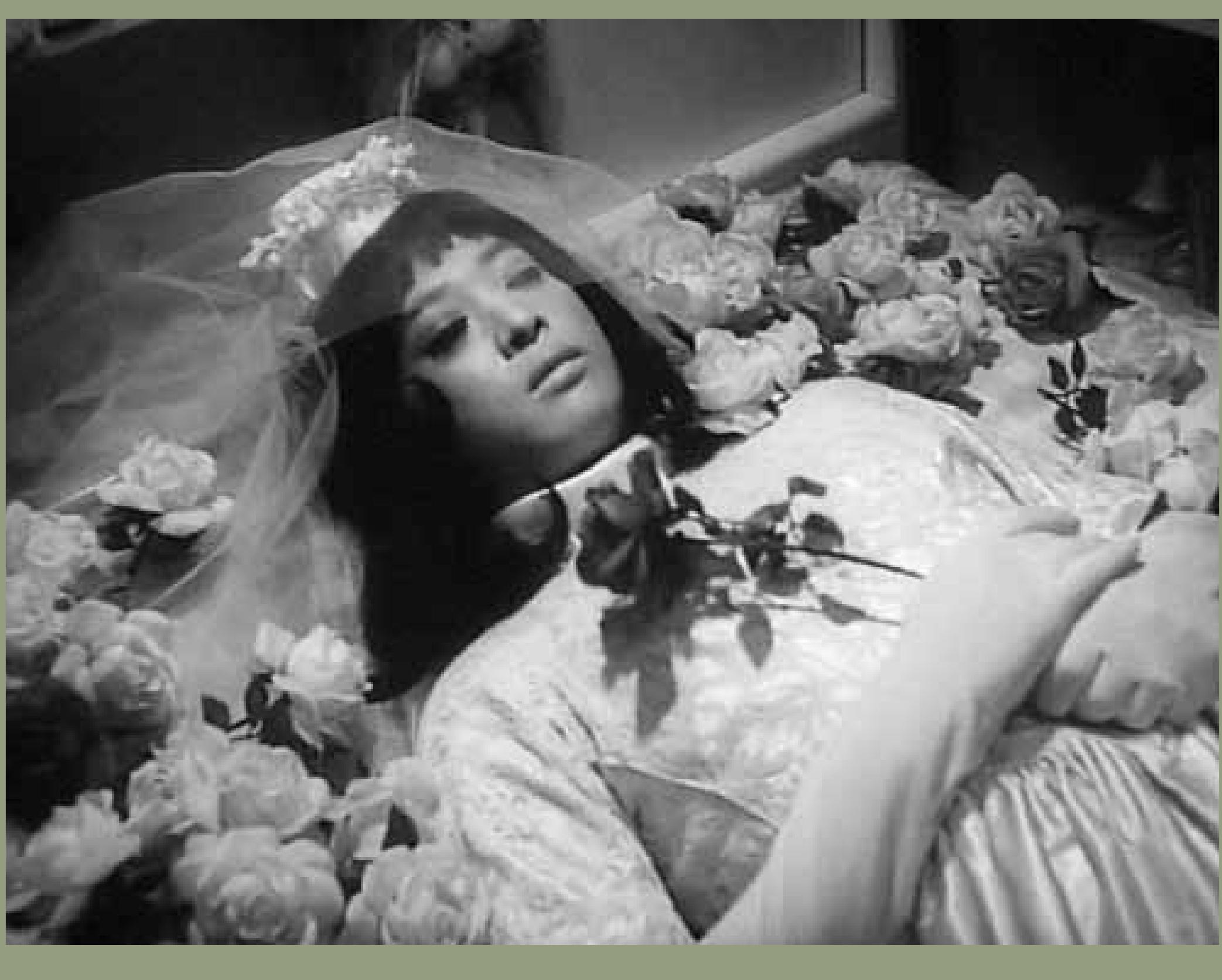 Figure 1 - Transgender Bodies in the Funeral Parade of Roses