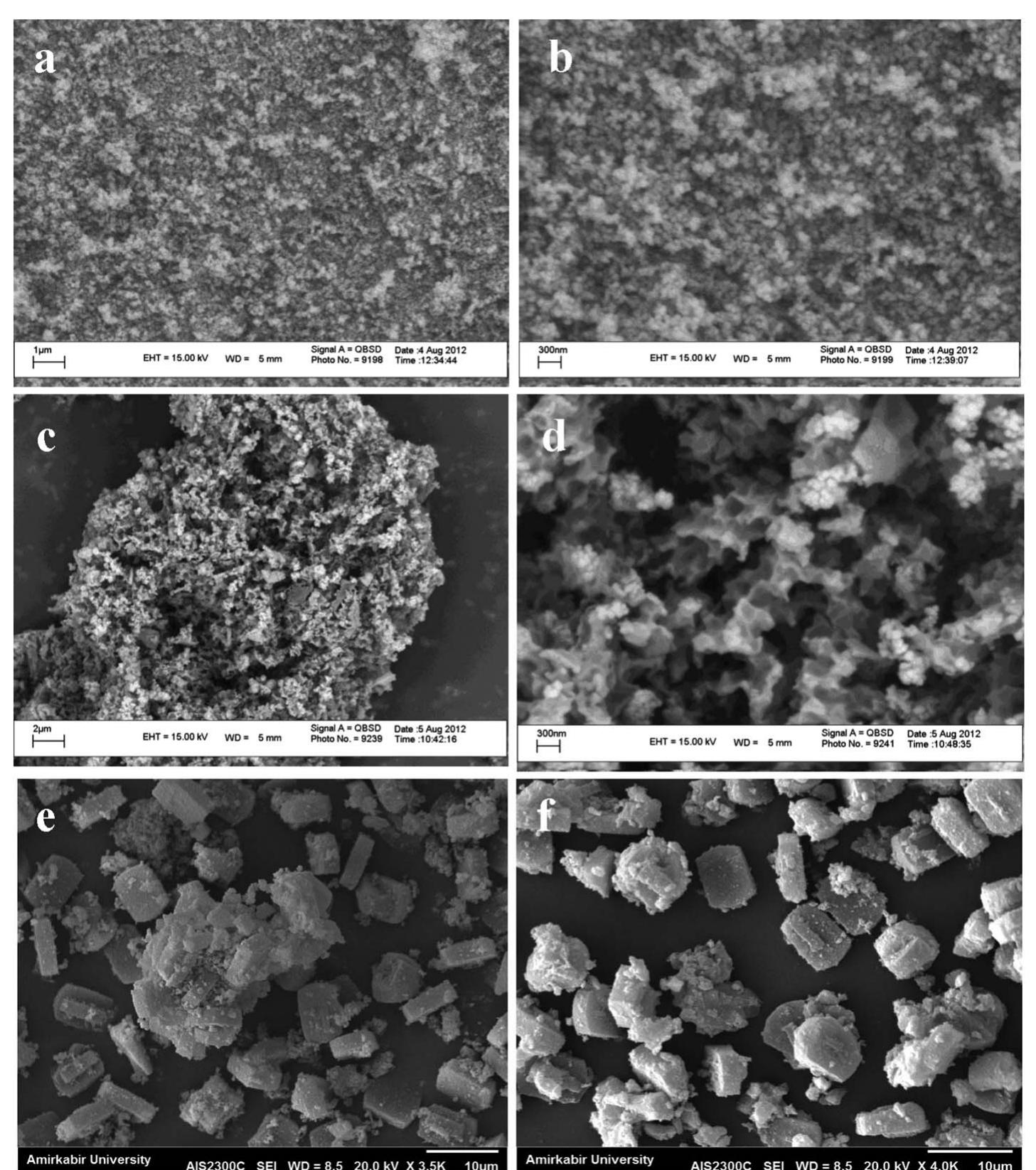 Semimages of cub-cds at magnification of 20 000 (a) and 50