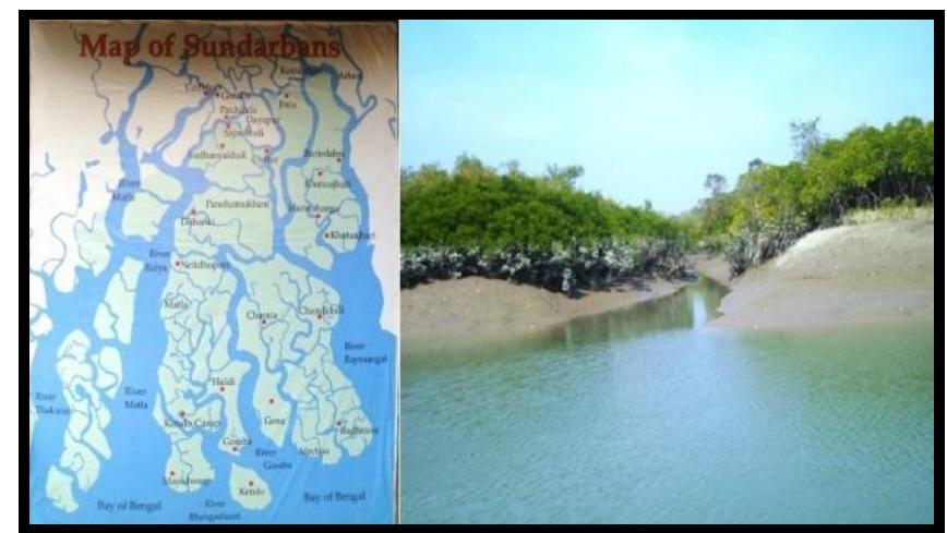 Map of indian sundarbans