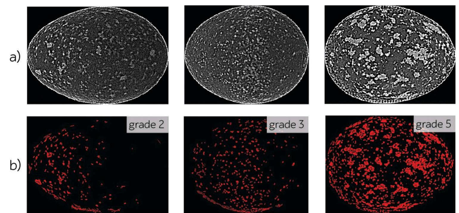 Examples of mottling spots detection: a) images obtained by