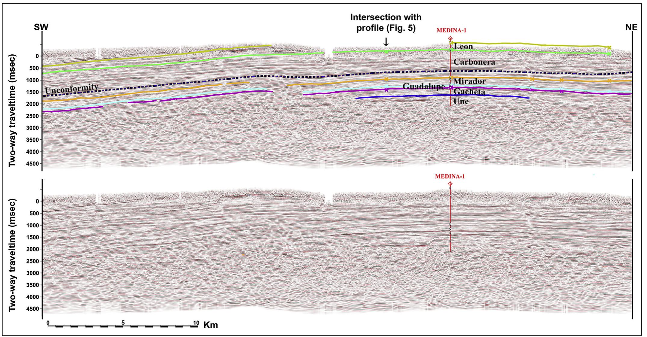 Uninterpreted and interpreted seismic profile parallel to