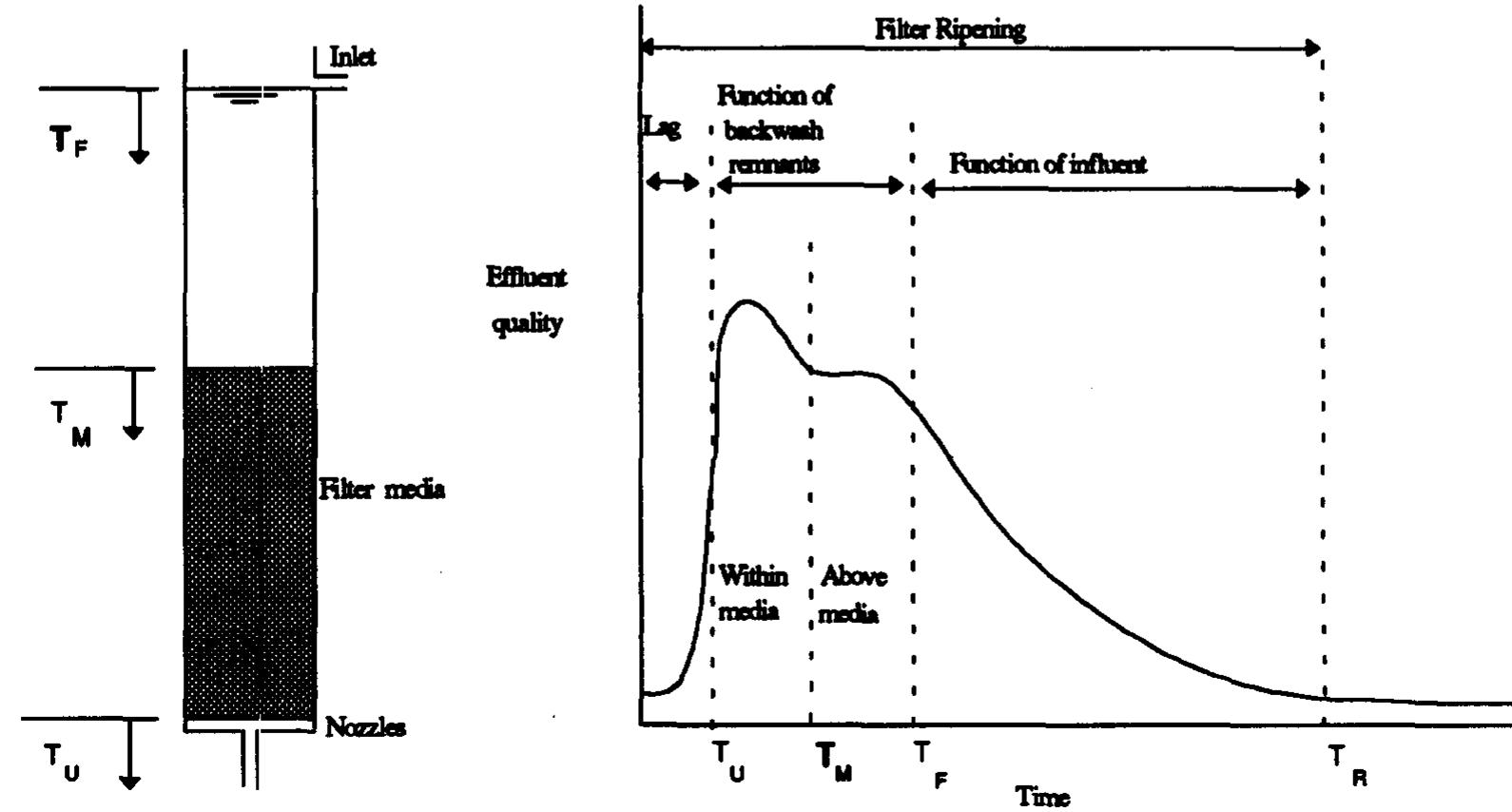 Schematic of filtrate quality during ripening period