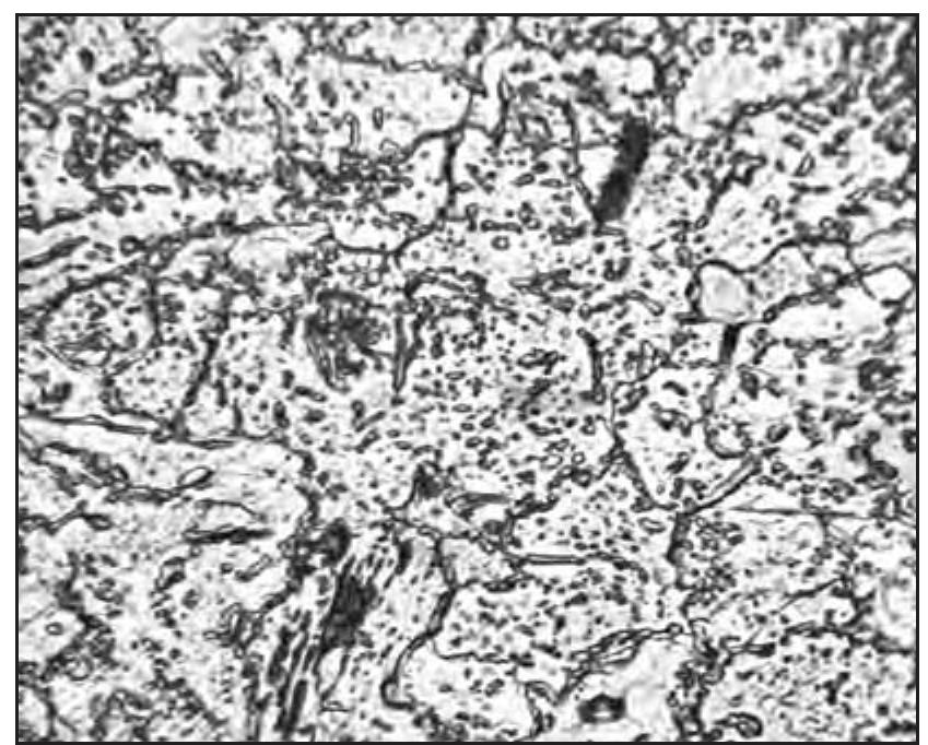 Microstructure of b.182. ferrite and carbides; scale bar