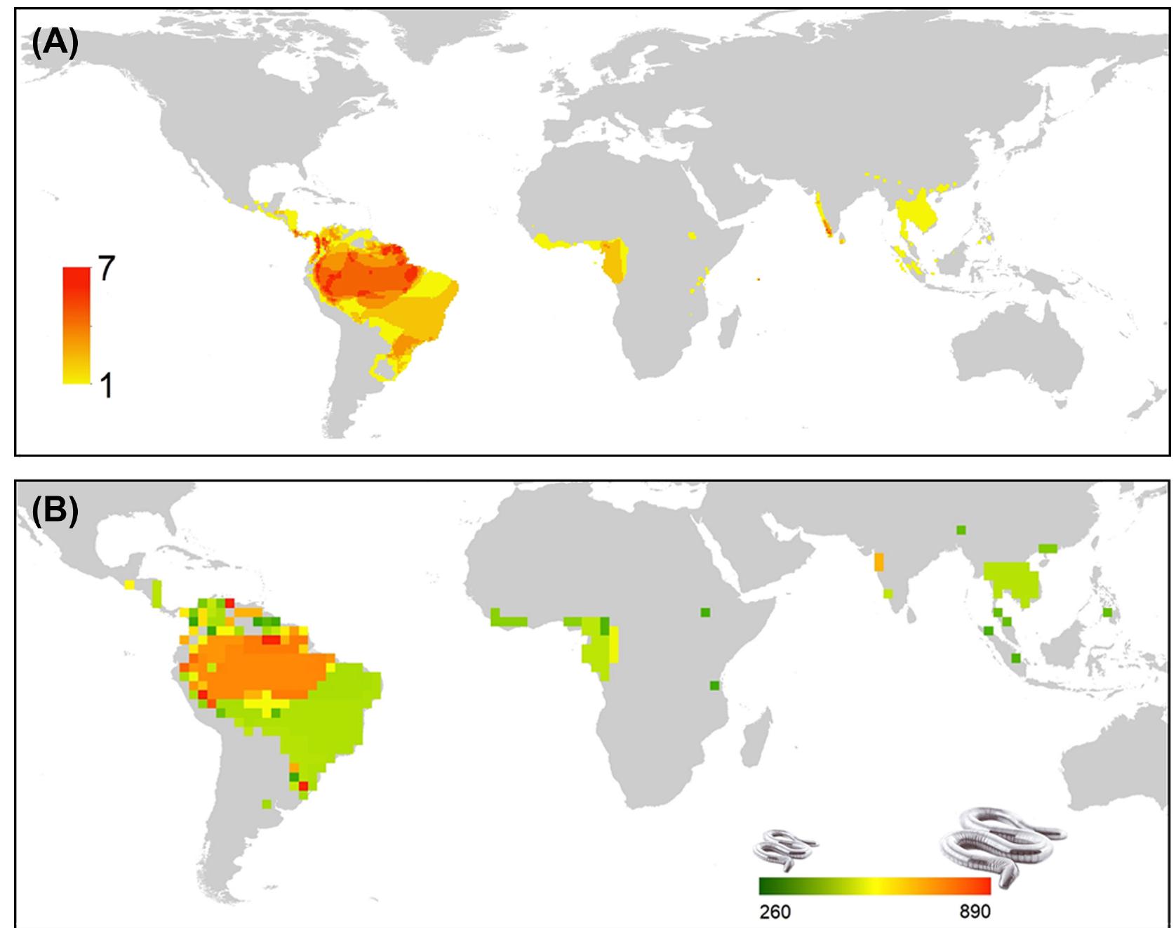 Global distribution of caecilians. the maps show (a) the