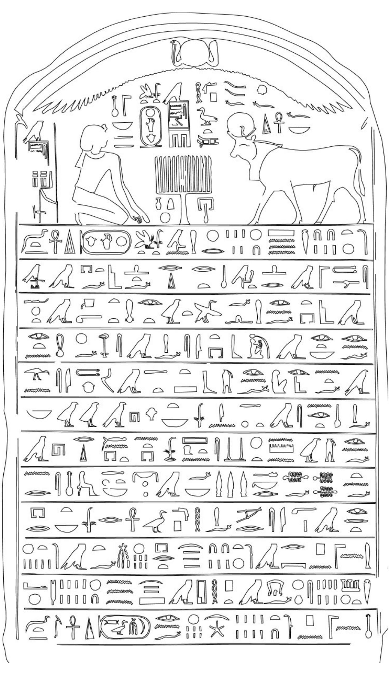 Amasis stela from the serapeum, louvre 406 (drawing by
