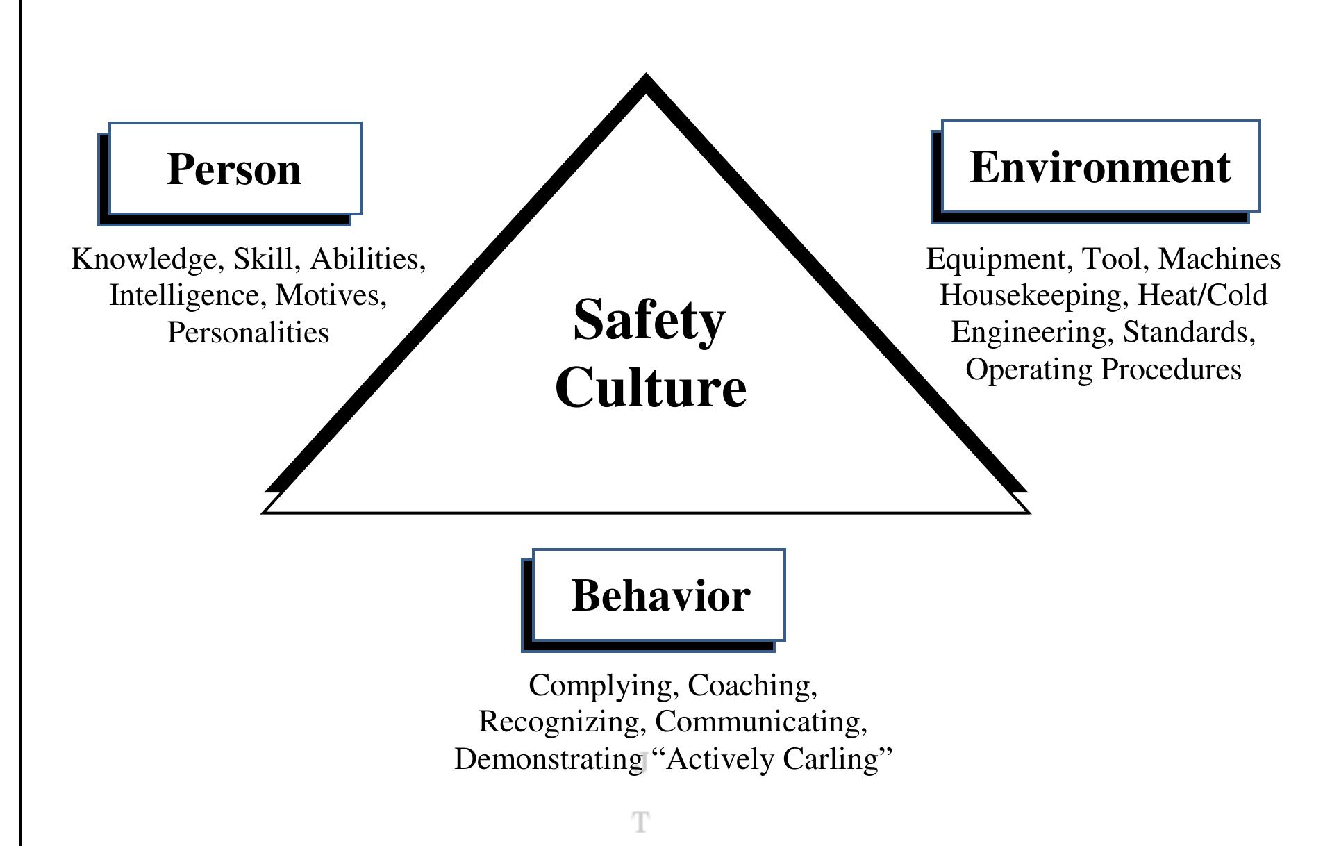 The safety triad. the schematic presentation of conceptual