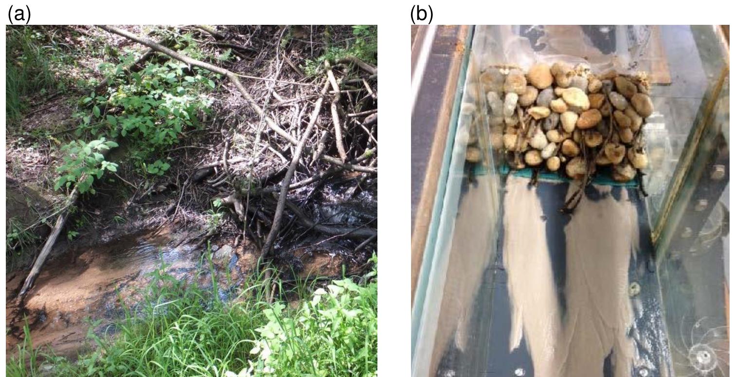 A ——— figure 5: sediment passage, (a) ) beaver dam with