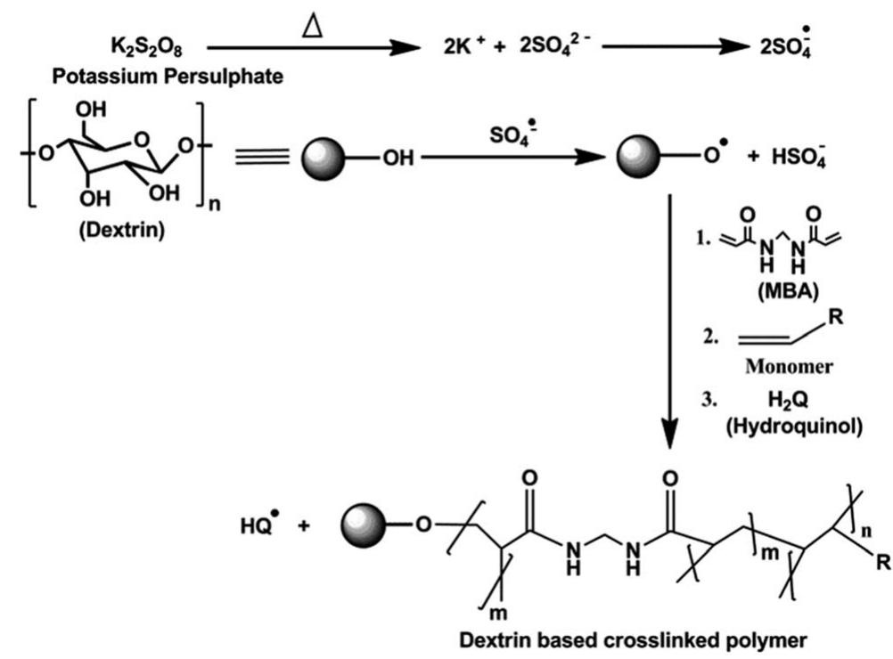 Probable mechanism of the formation of a dextrin based