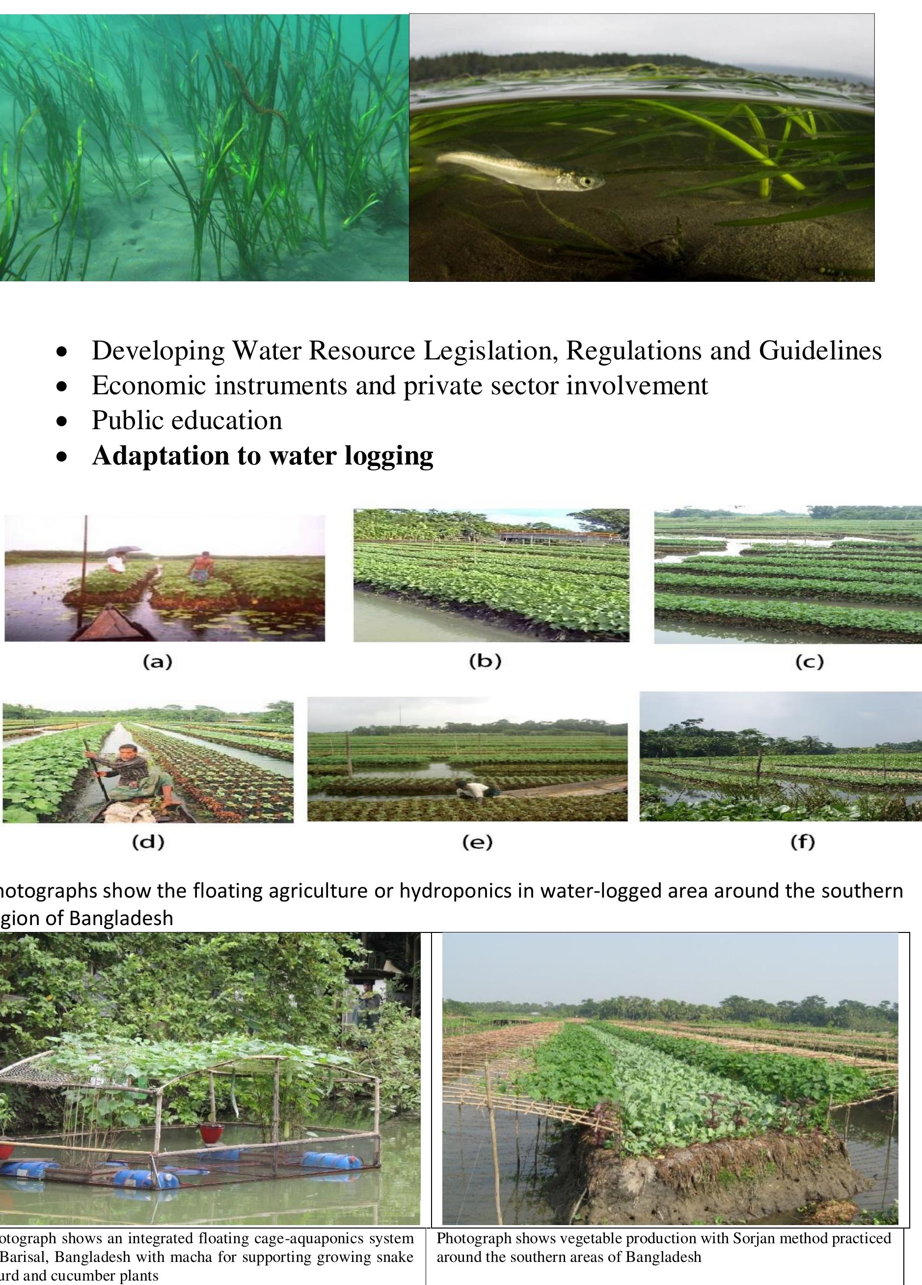 Figure 9 - from Integrated River and Coastal basin