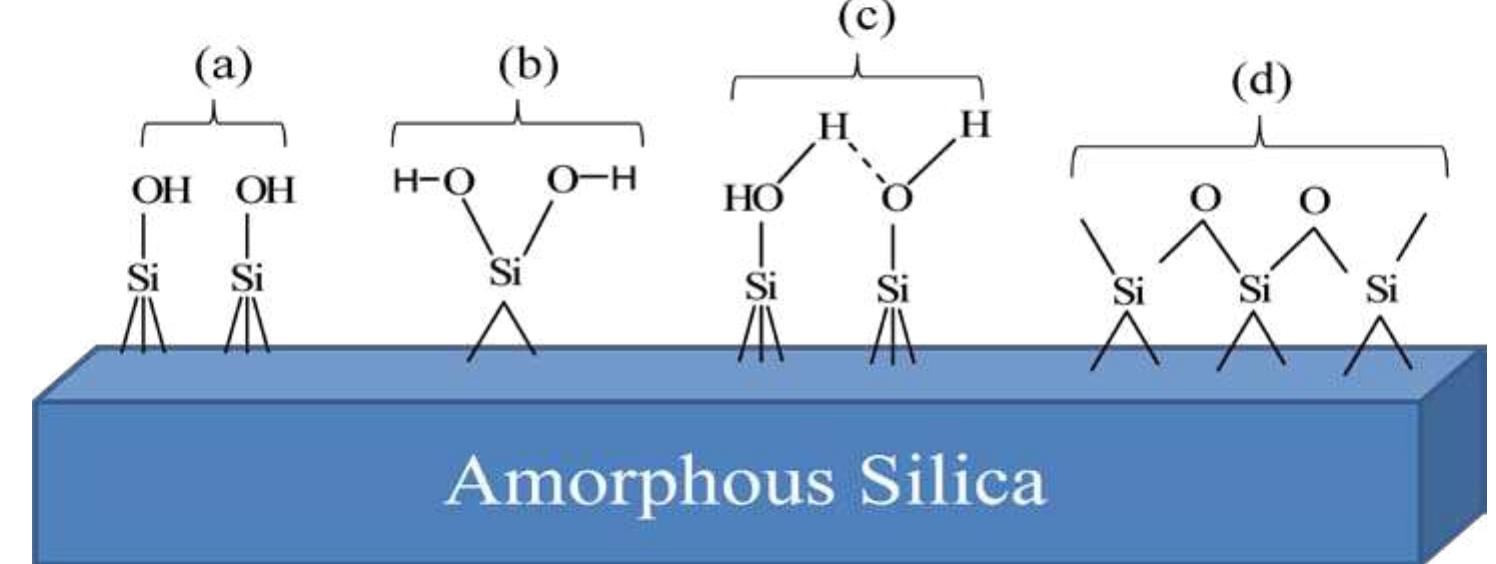 Types of silanol groups and siloxane bridges on the surface