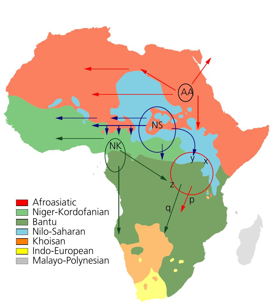 The language groups of africa which encompass over 200