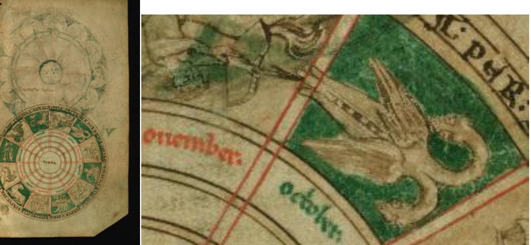 Strange two-headed scorpio with wings and no legs or