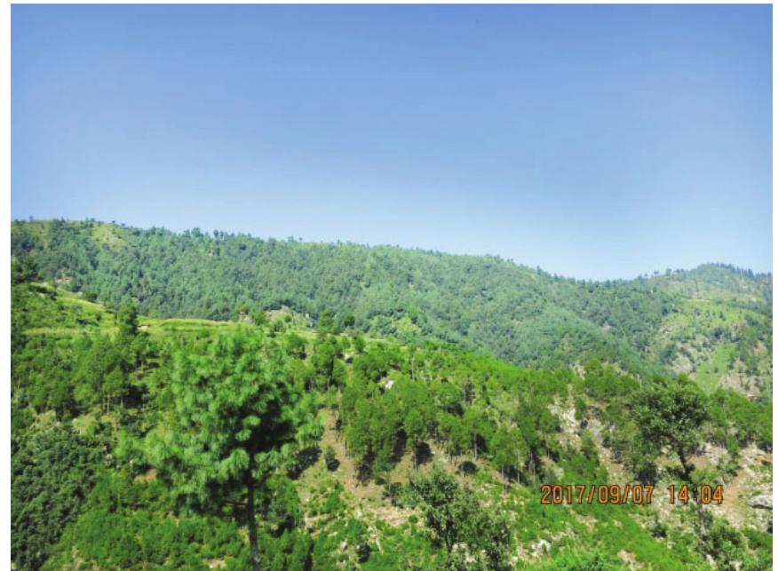 Plate 3. pir-sar viewed from the parking area