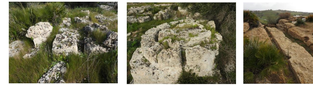 Figure 1 - from Cart-ruts in western Sicily (Independent