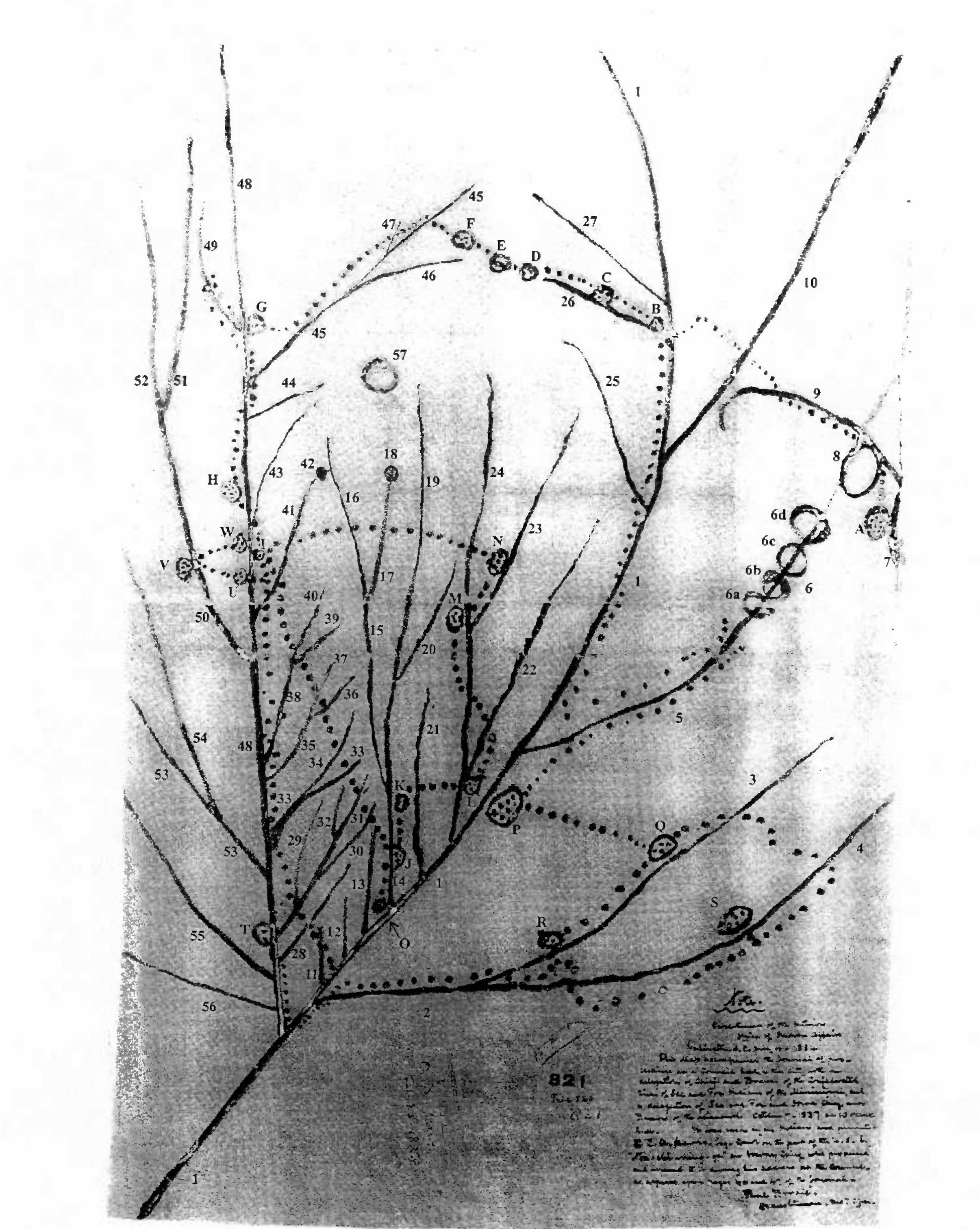 William Green - Beloit College