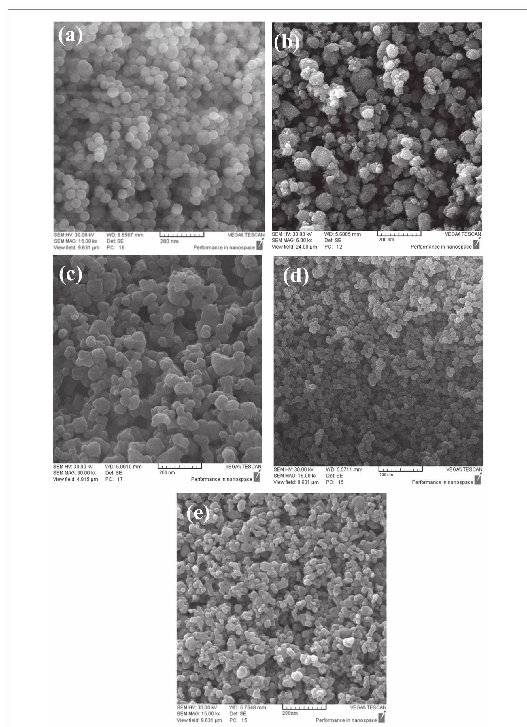 Sem images of (a) tio, (b) tio2-tween80 (c) tio2-mw (d)