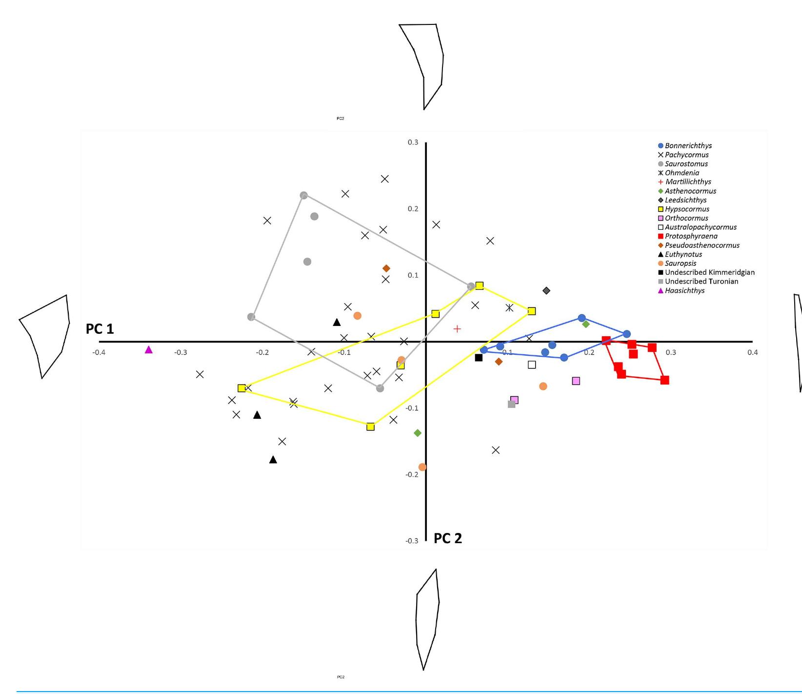 Pc1 vs. pc2 plot. principal components analysis: pc1