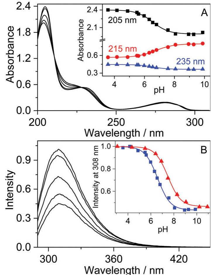 Absorption (a) and fluorescence (b) spectra of 36 um thp* in