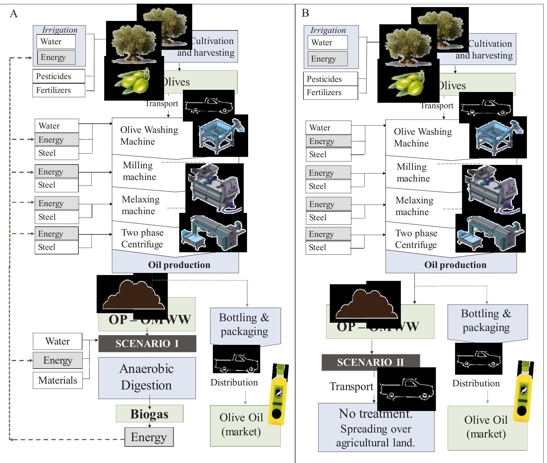 Flowchart diagram of the input and output in olive oil