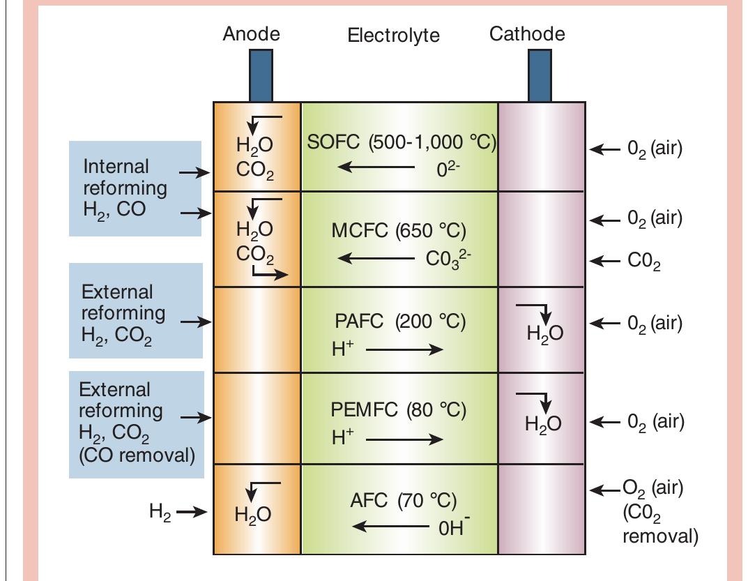 Summary of fuel-cell types. the oxidation reaction takes