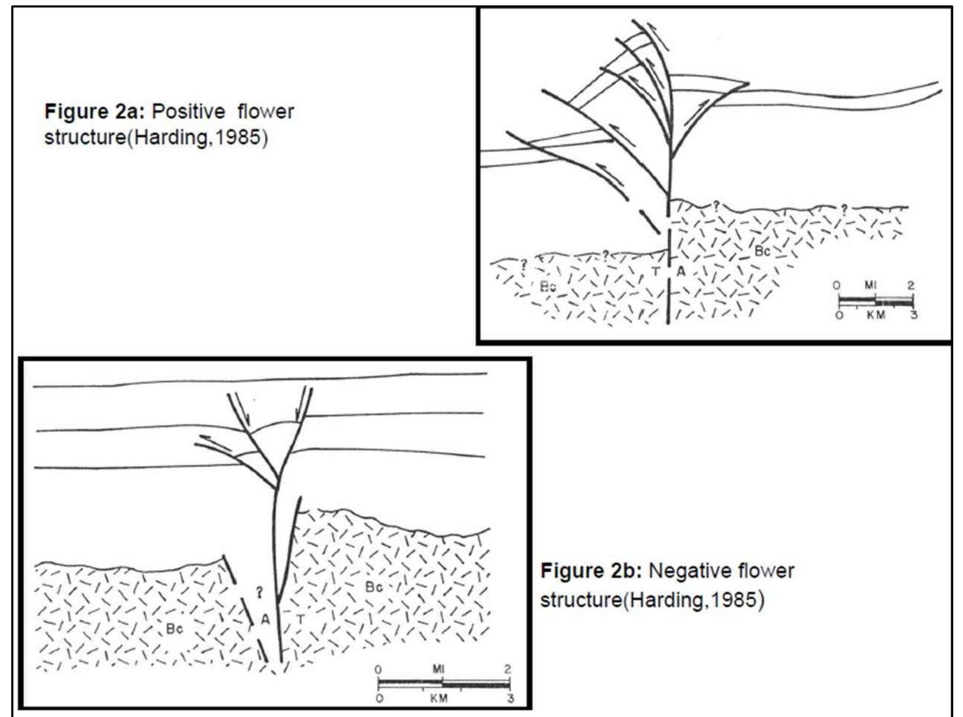 Figure 2 - from RECOGNITION OF WRENCH FAULTS ON SEISMIC