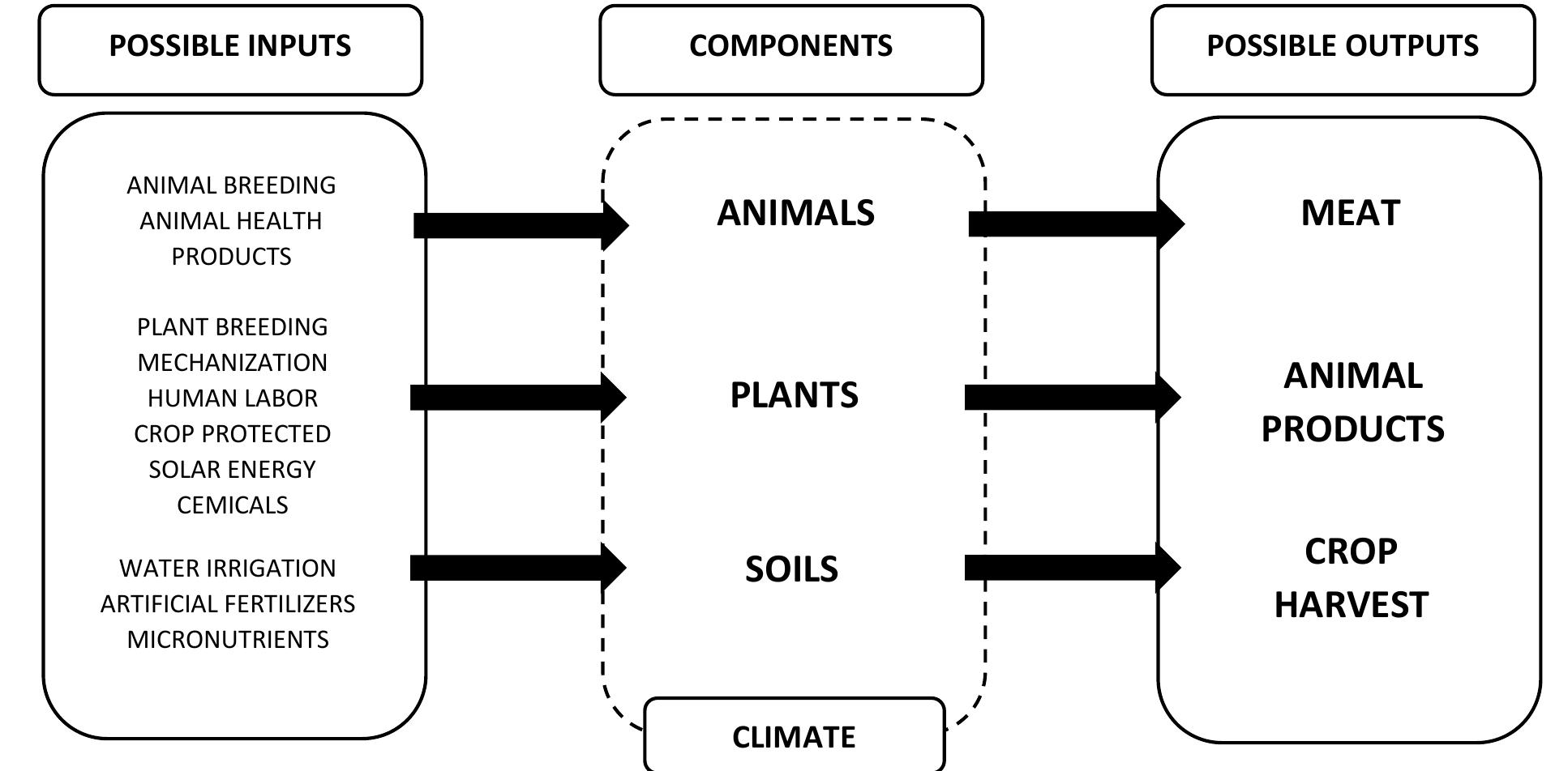 Inputs and outputs in traditional agriculture (figure
