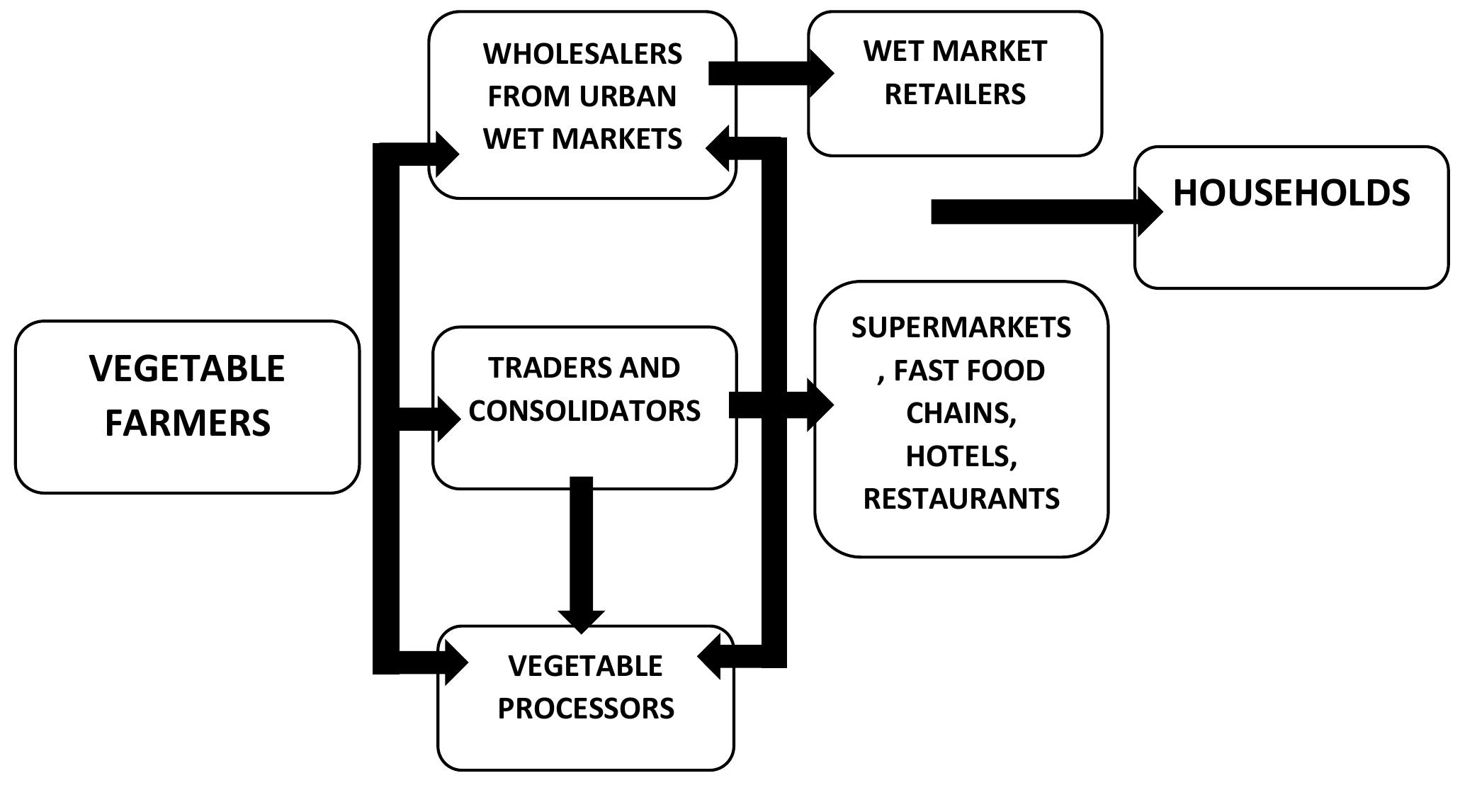 The vegetable supply chain of the philippines
